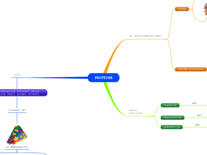 PROTEINE - Mind Map